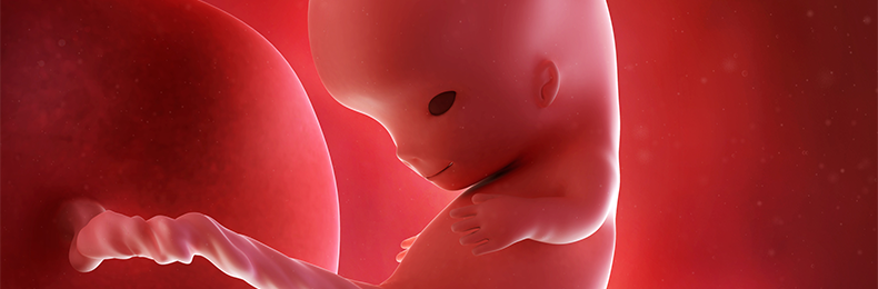10 Weeks Pregnant - Time For Fetal Chromosome Examination | OT&P