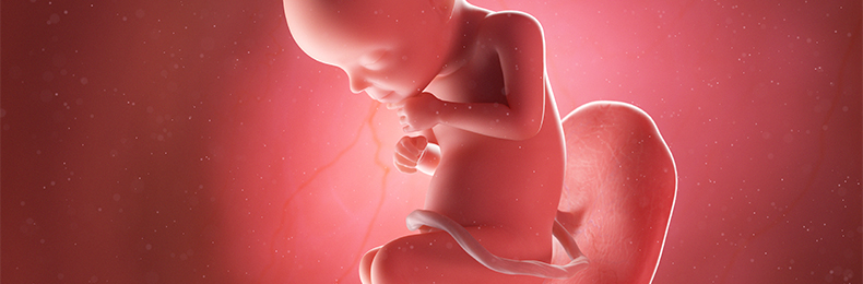 28 Weeks Pregnant - Symptoms & Baby Development | OT&P