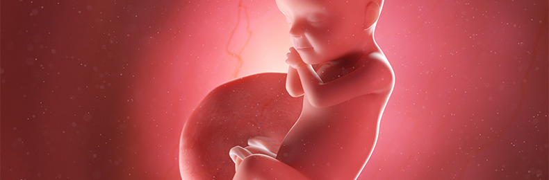 30 Weeks Pregnant - Symptoms & Baby Development | OT&P