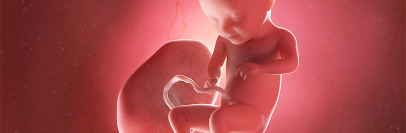 31 Weeks Pregnant - Symptoms & Baby Development | OT&P