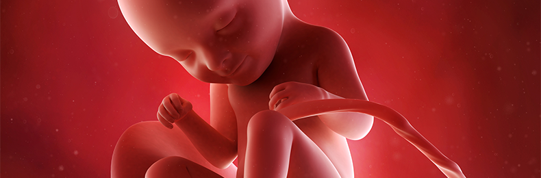 33 Weeks Pregnant - Symptoms & Baby Development | OT&P