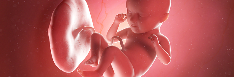 35 Weeks Pregnant - Symptoms & Baby Development | OT&P