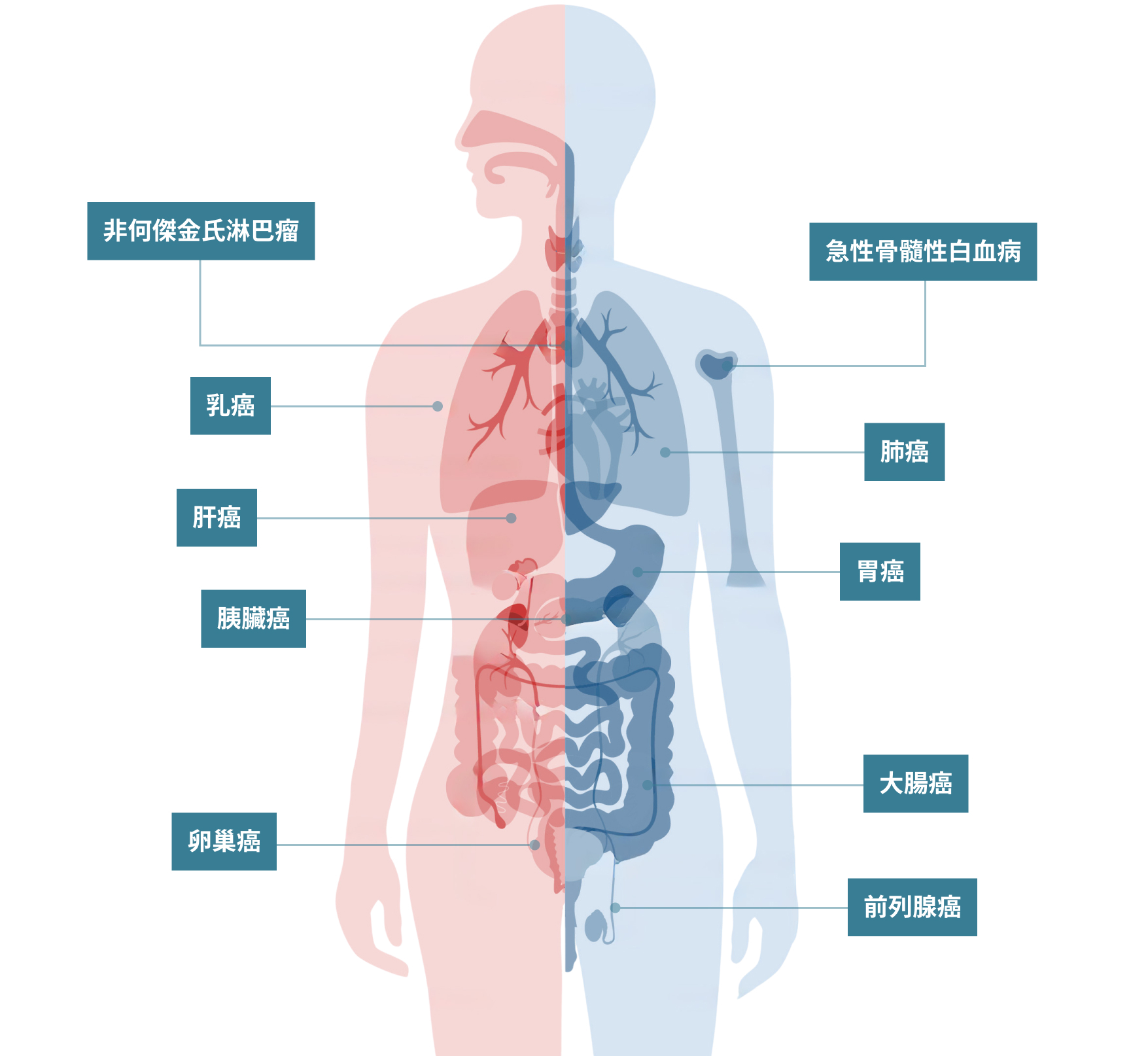 路勝因思康™：液體活檢癌症篩查服務 | 領康醫療