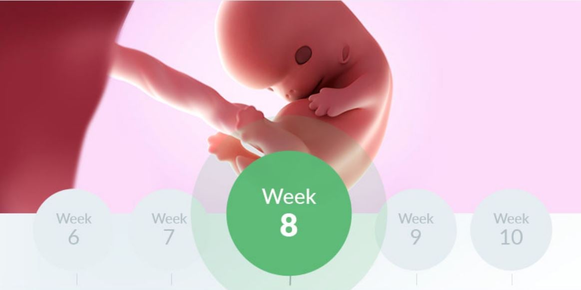 Pregnancy Symptoms At 10 Weeks