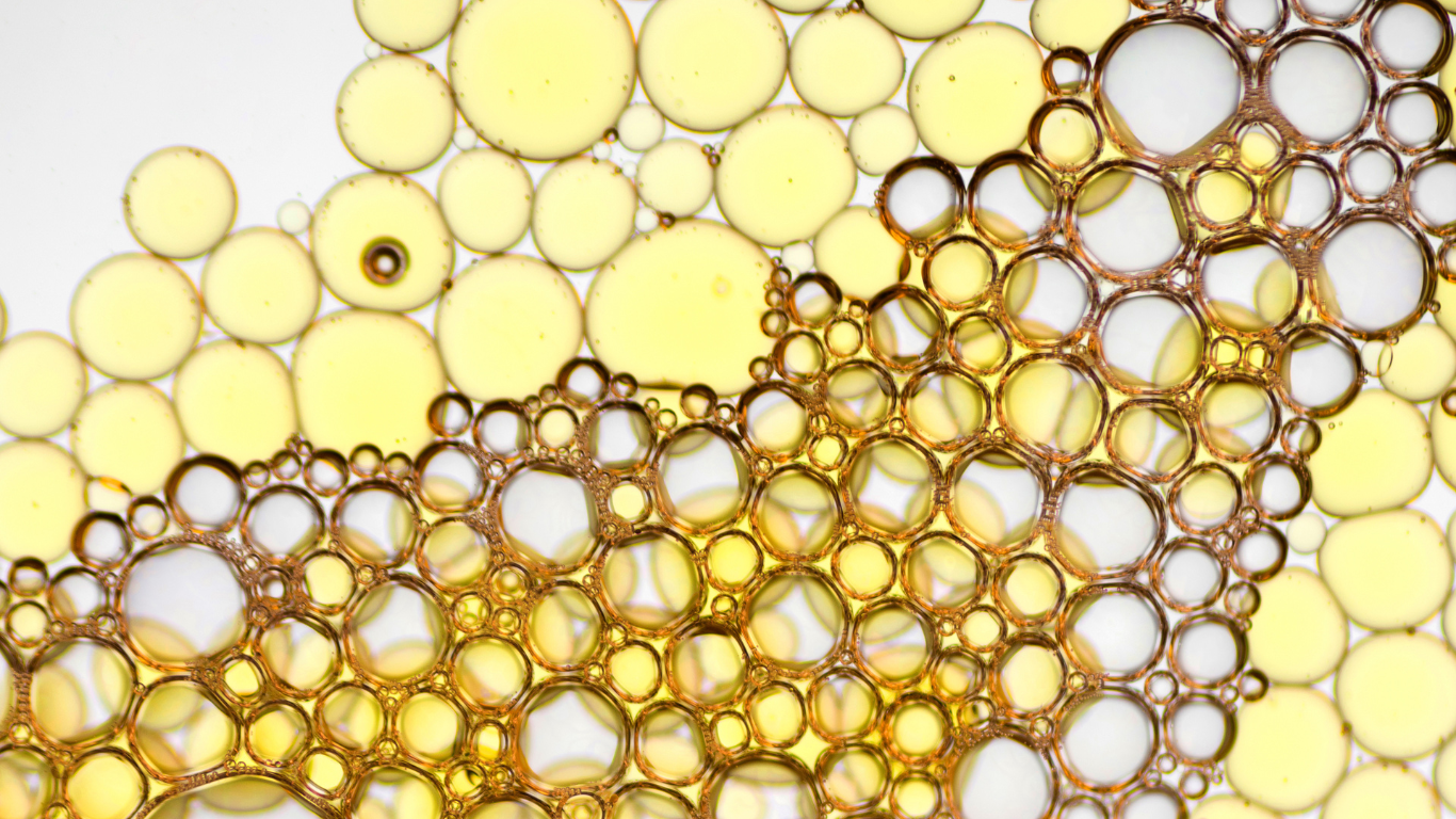 What Is Apolipoprotein B and Why Does It Matter?