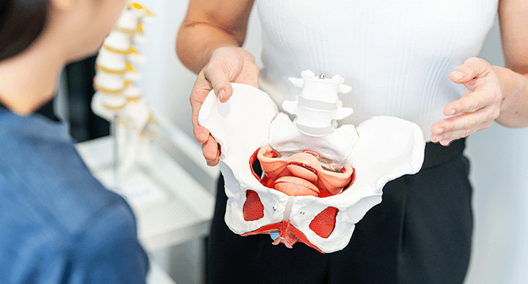 What is Continence: Women's Health Physiotherapy